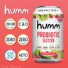 Humm Kombucha Probiotic Seltzer, Raspberry Lime | Thrive Market