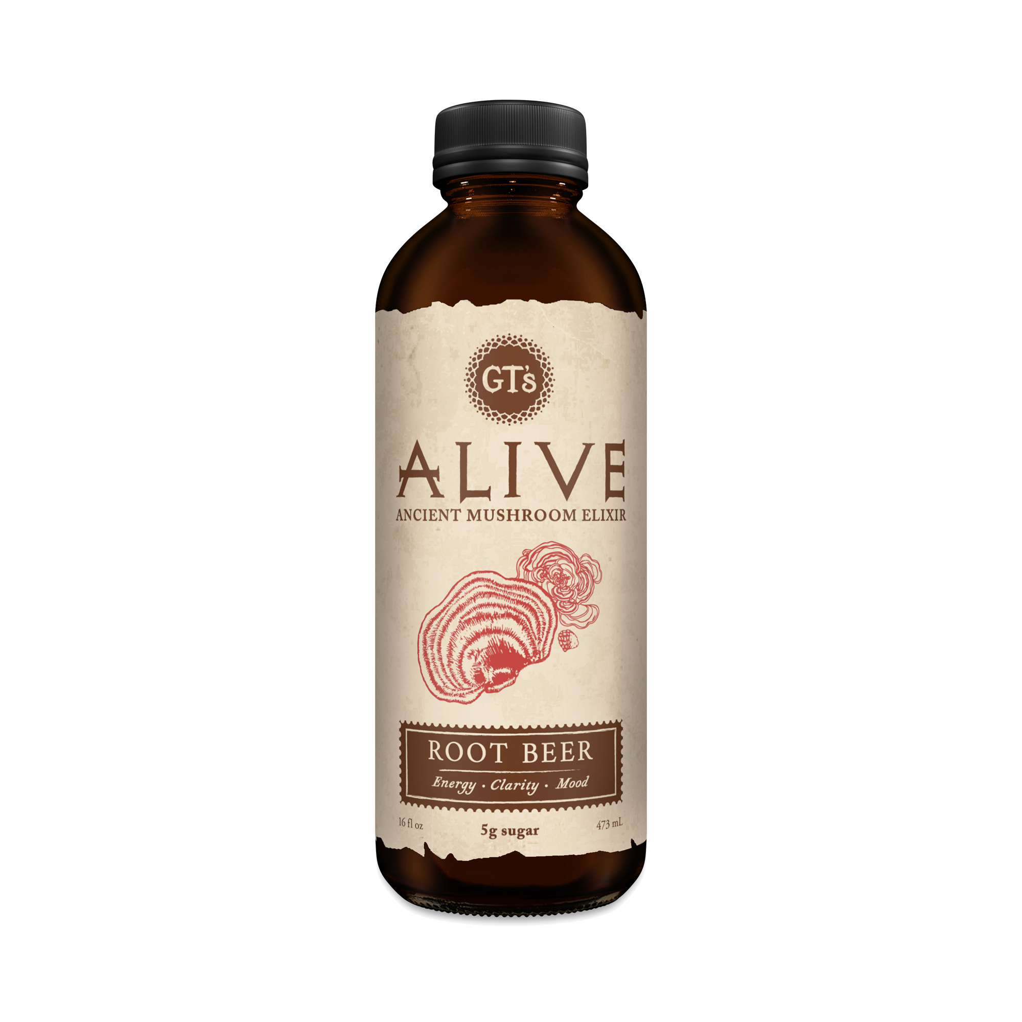GT's Living Foods Alive Ancient Mushroom Elixir, Root Beer | Thrive Market