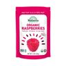 Organic Freeze Dried Raspberries by Nature's All Foods | Thrive Market