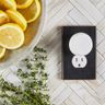 Enviroscent Plug-In Air Freshener Starter Kit, Lemon Leaf & Thyme ...