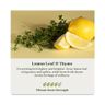 Enviroscent Plug-In Air Freshener Starter Kit, Lemon Leaf & Thyme ...
