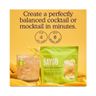 SAYSO Non-Alcoholic Cocktail Sachets Mixer, Skinny Spicy Margarita ...