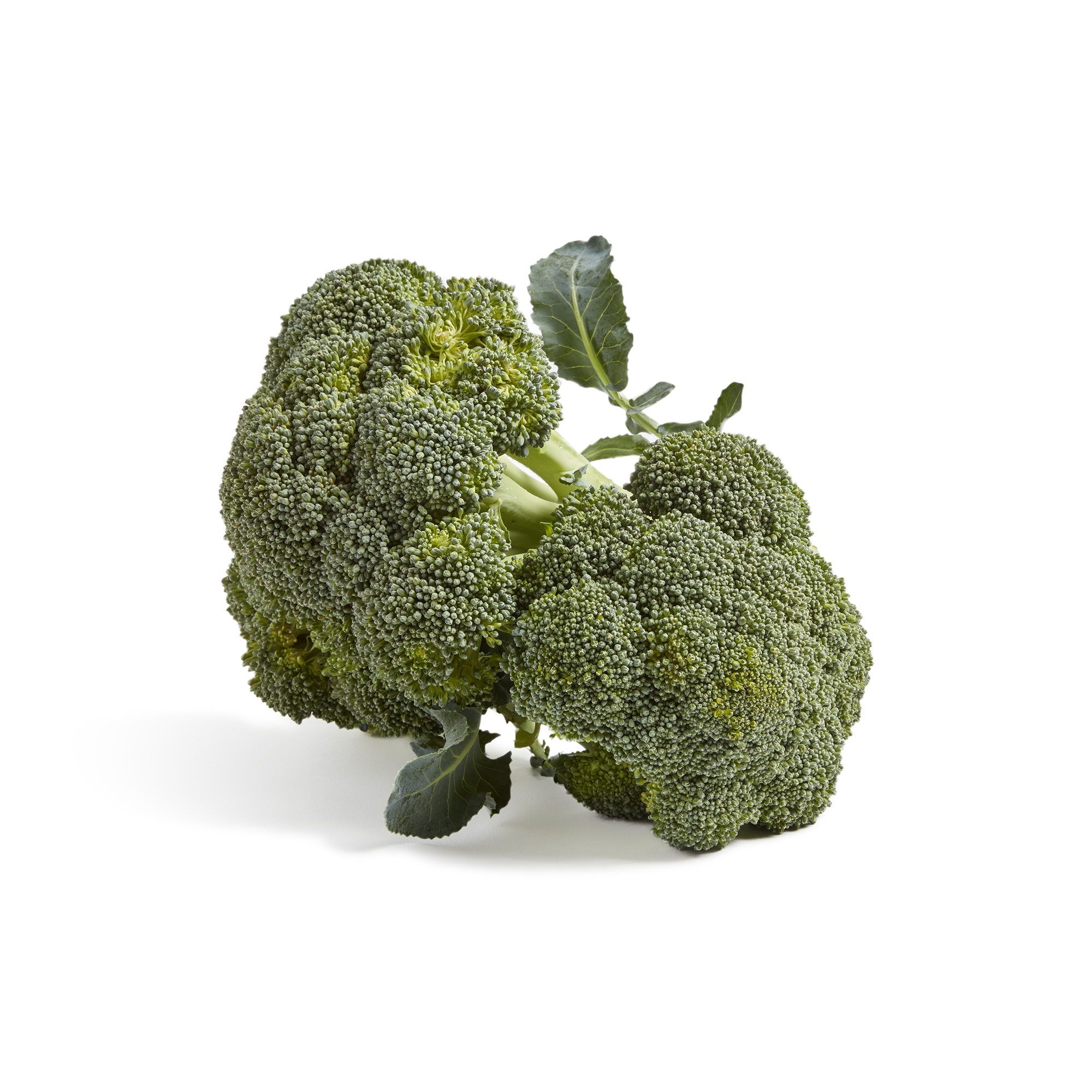 Organic Broccoli Bunch | Thrive Market