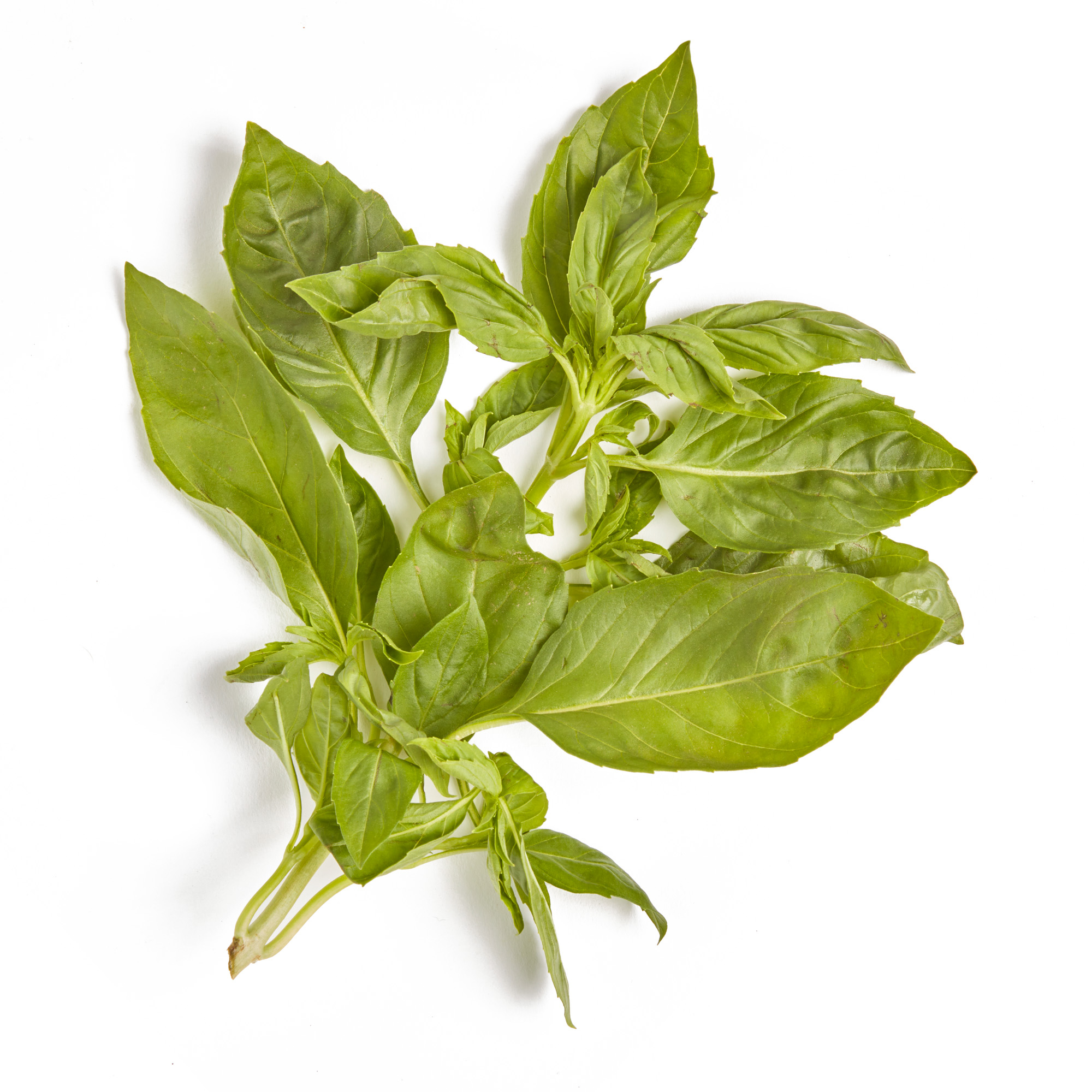 Organic Basil | Thrive Market