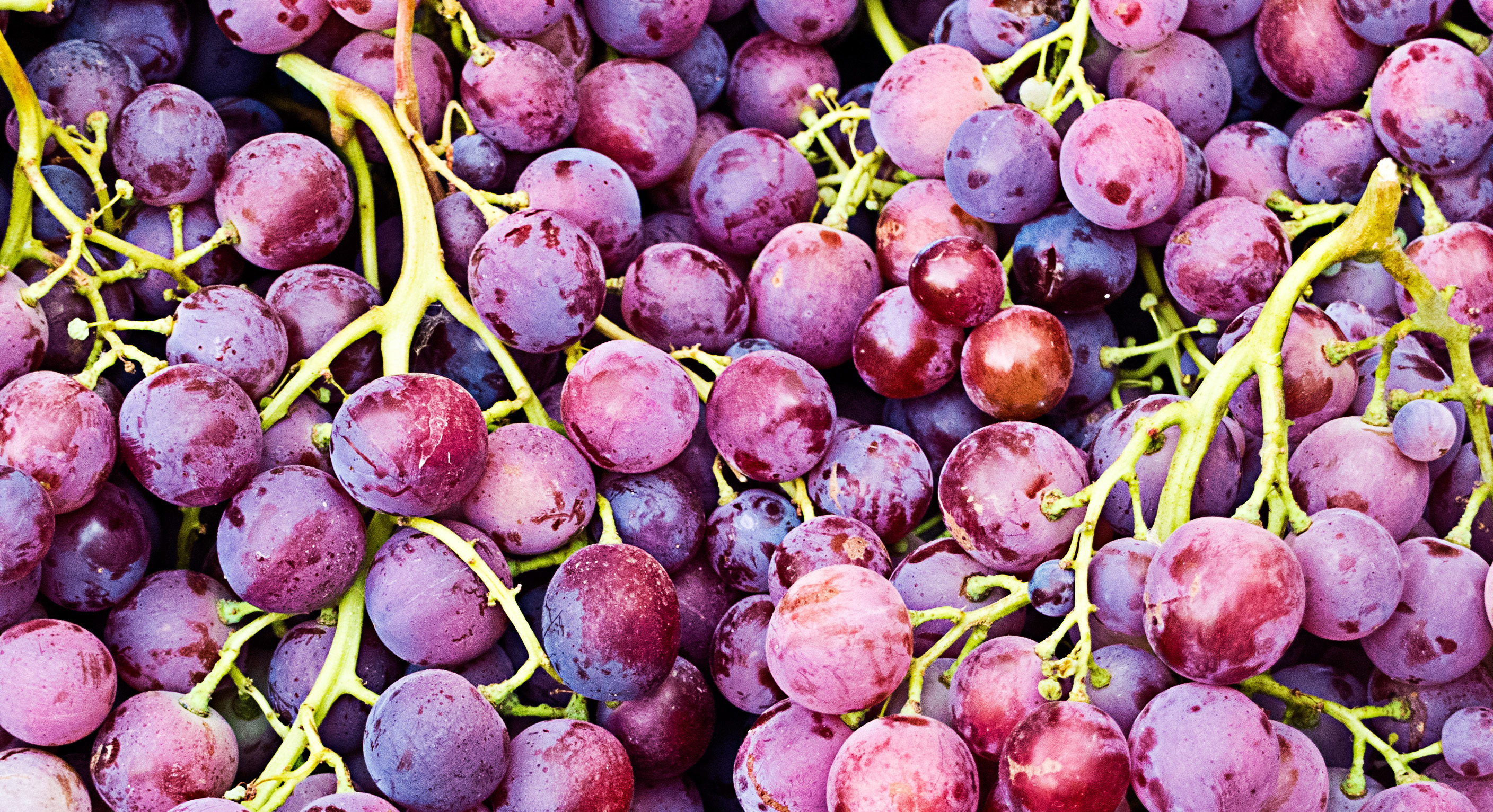 10 Foods With Real Cancer-Fighting Powers | Thrive Market