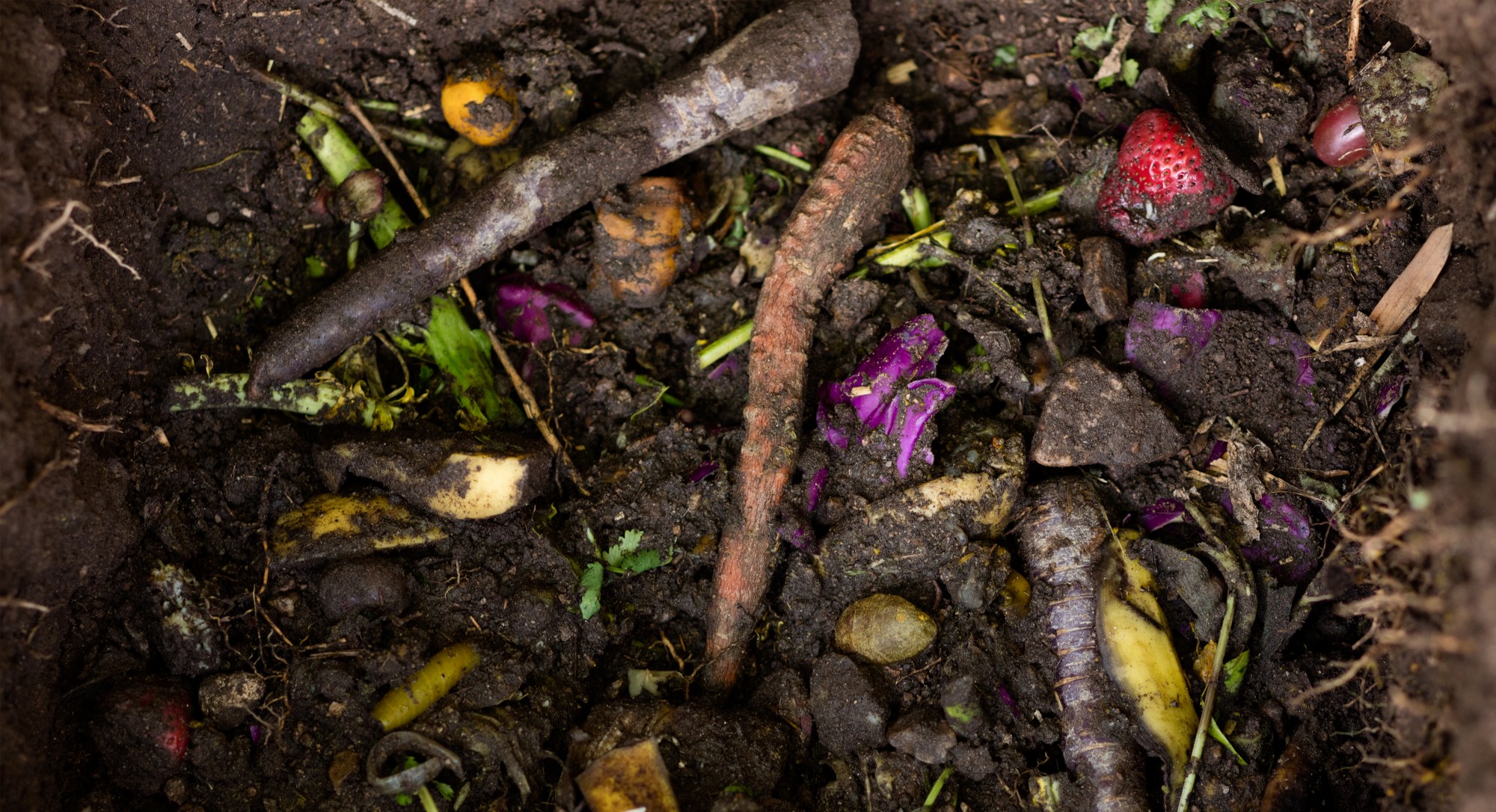 How to Compost - Thrive Market