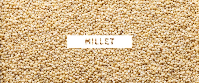 Millet vs. Quinoa