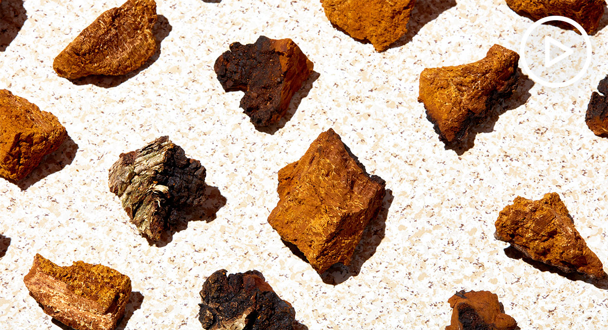 Chaga 101: Learn All About This Sought-After Superfood | Thrive Market