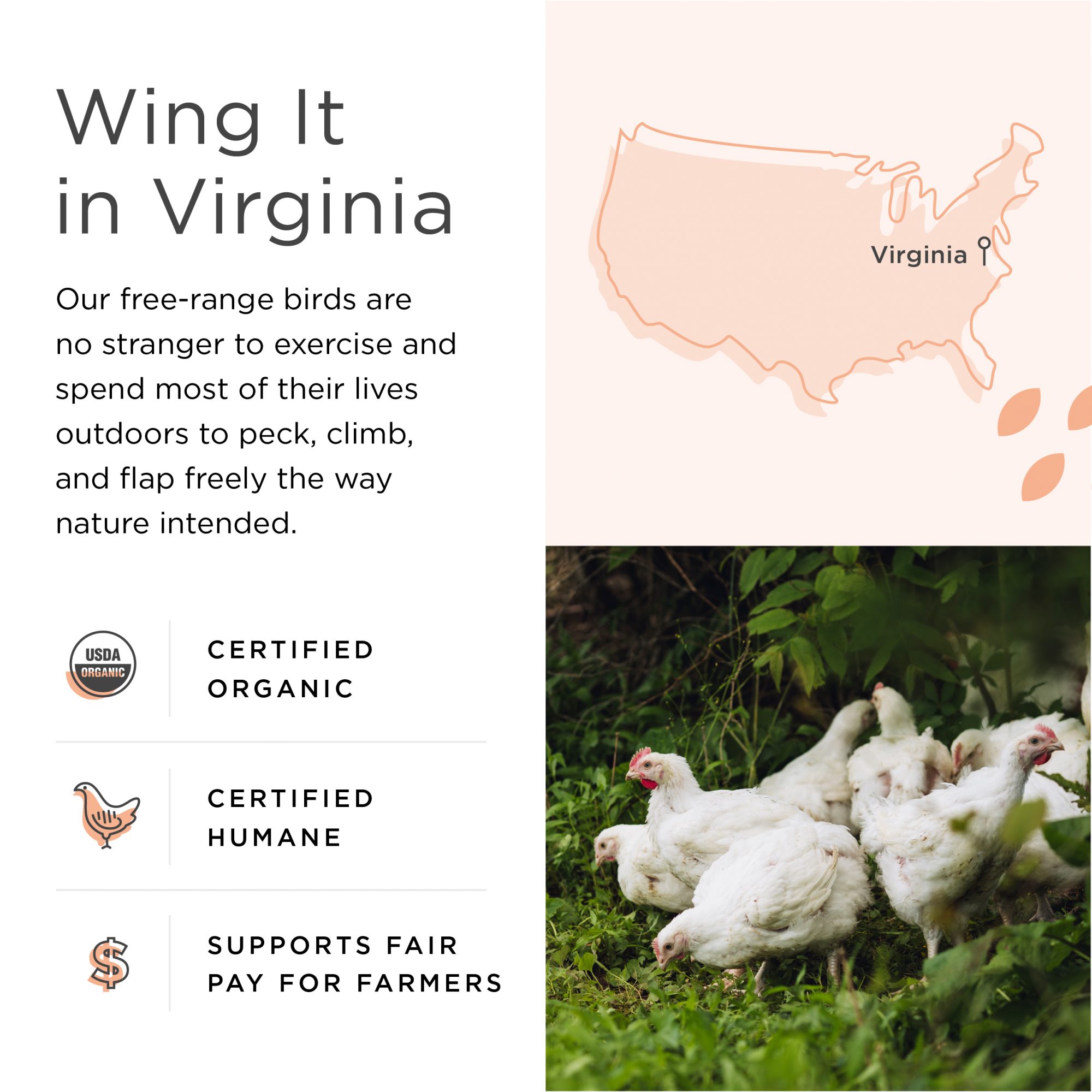 Spotlight On: Thrive Market Chicken