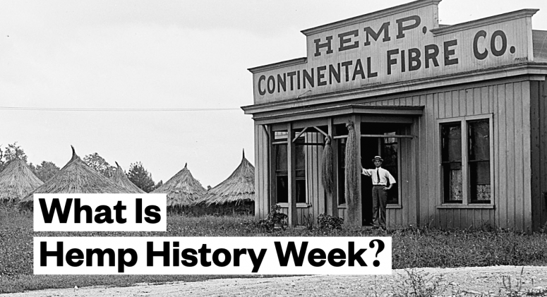 Learn About Hemp's Rocky History in the U.S. and How to Help Its Future ...