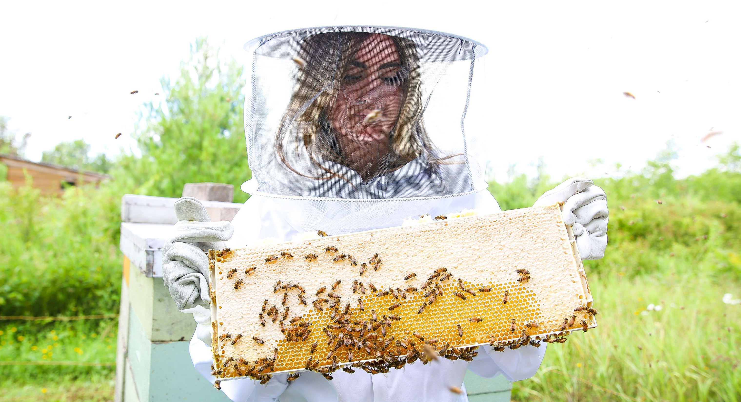 Reinventing the Medicine Cabinet with Carly Stein | Thrive Market