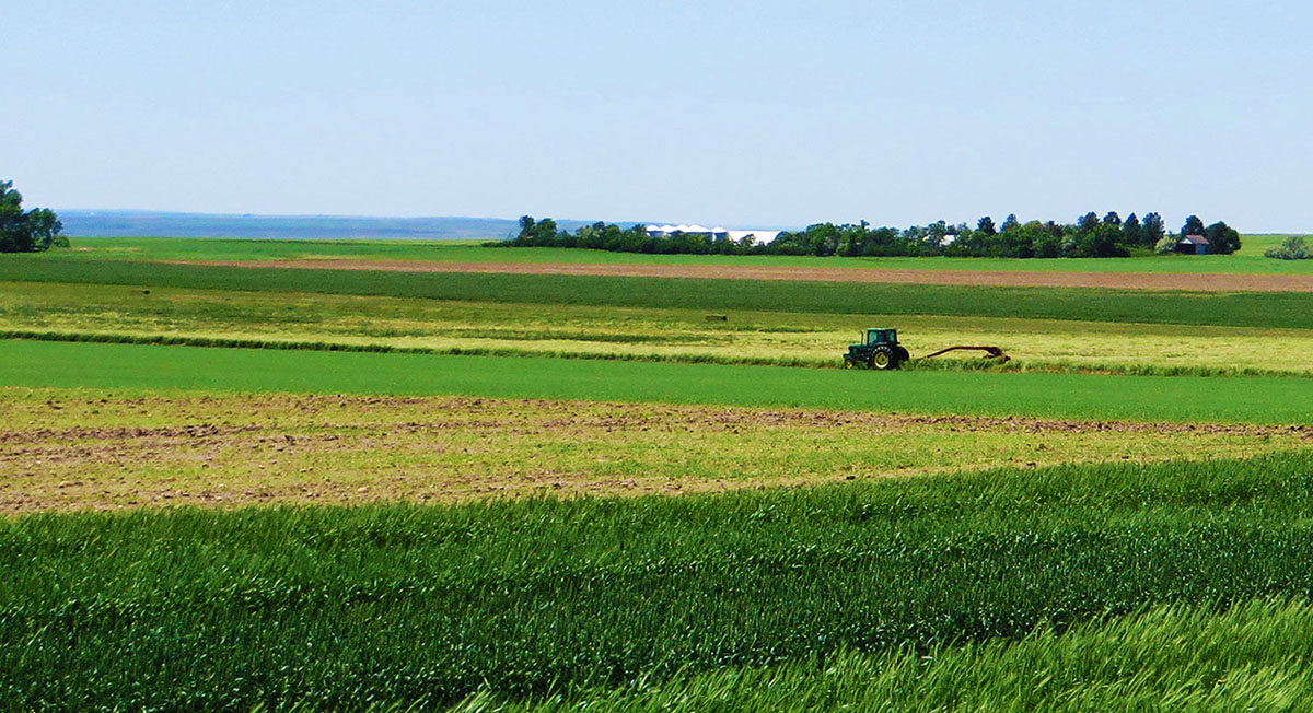 The Future of Farming Is Regenerative—At the Epicenter Is Driving the ...