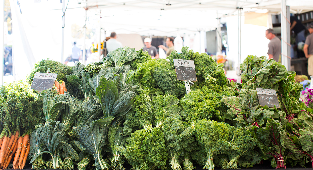 10 Best Environmental Documentaries | Thrive Market