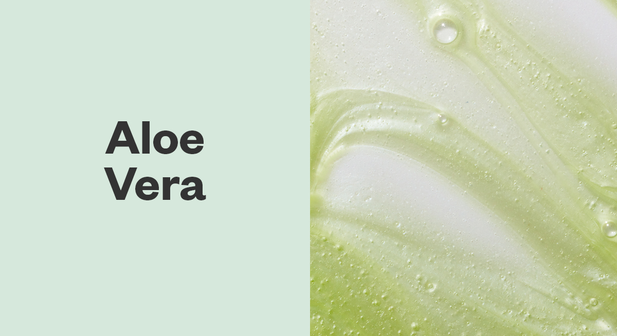 Skincare Ingredient Glossary: Beneficial Skin Health Terms to Know ...