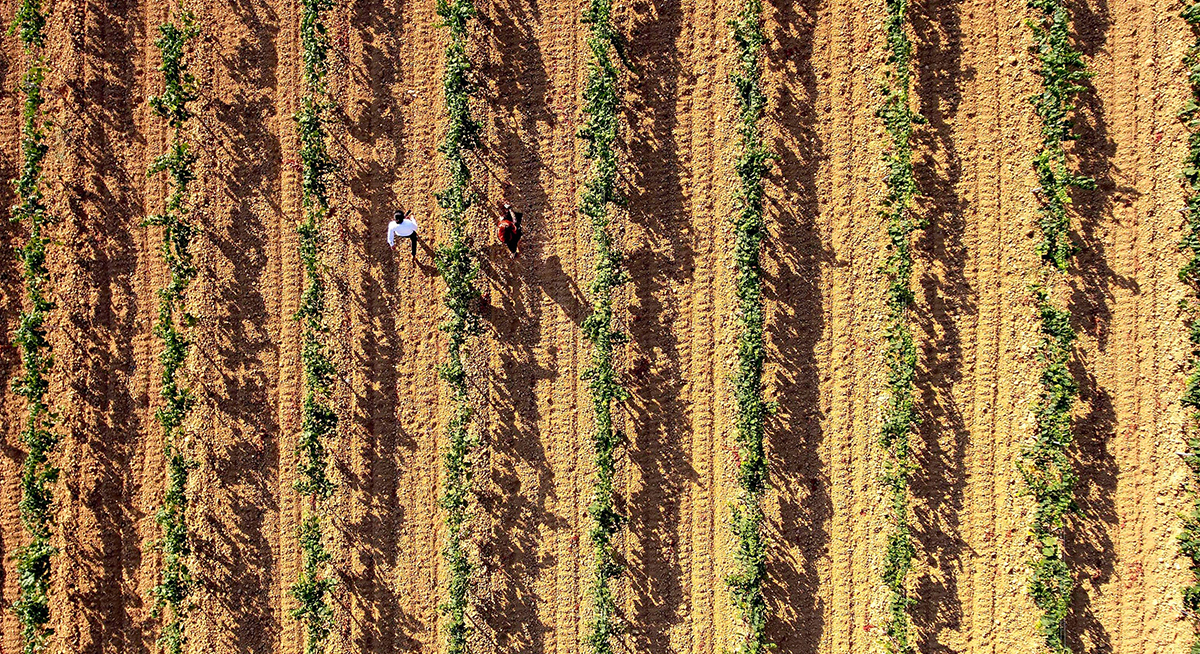 Climate Change Glossary: From Alternative Energy to Zero Waste | Thrive ...