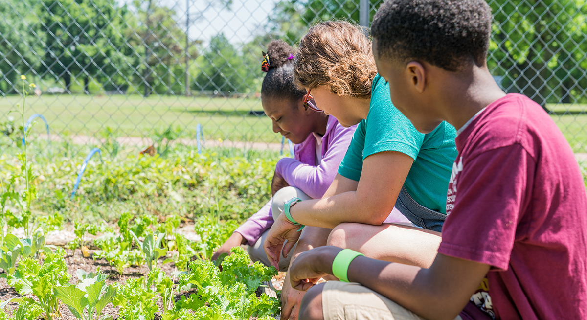 Food Equality is On the Agenda at White House Health Conference ...