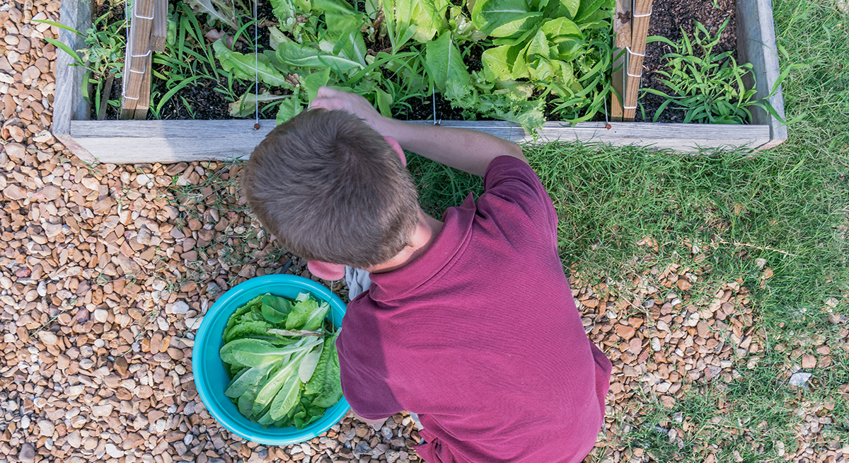 Food Equality is On the Agenda at White House Health Conference ...