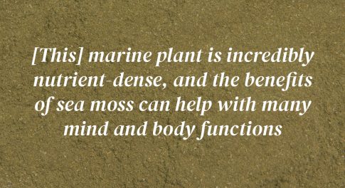 What is Sea Moss, and What is It Good For? | Thrive Market