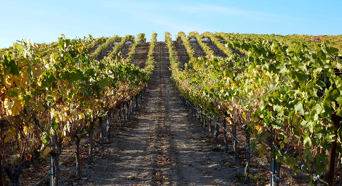 B Corp Month Product Roundup | Thrive Market