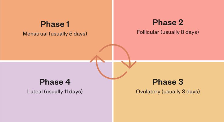 Cycle Syncing: Align Your Diet With Your Menstrual Cycle | Thrive Market