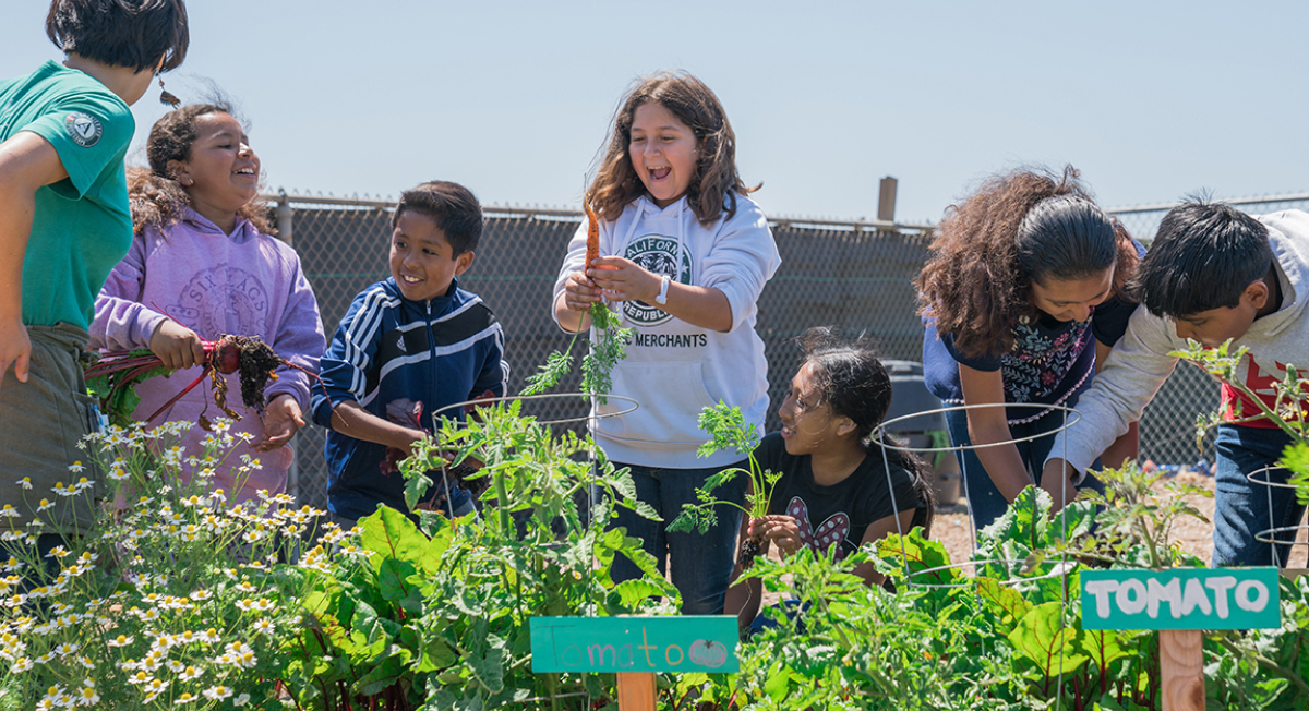 How FoodCorps and Thrive Market are Fighting for Food Equality in ...