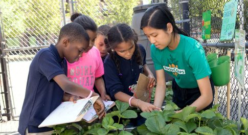 FoodCorps & Thrive Market: Helping Kids Access Food Education | Thrive ...